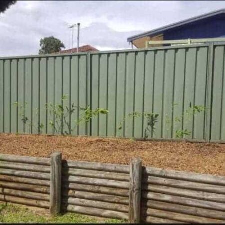 Slender Weavers Bamboo plants Sydney Bamboo. $67.50 200mm pot
